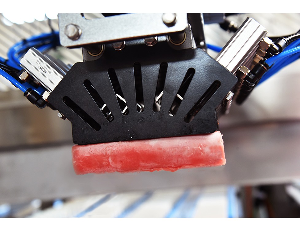 Professional 3-Axis Delta Robot Intelligent Meat Rolls Pick And Place ...